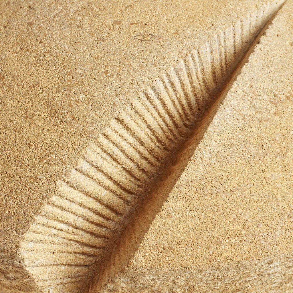Amanda Randall Design - Abstract Stone Sculptures